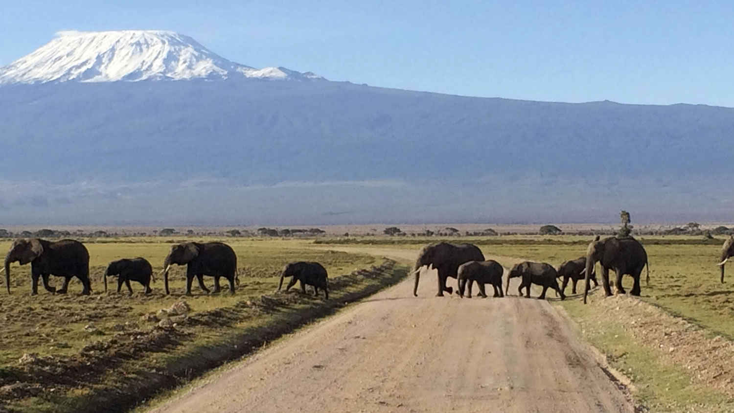 Kenya: Southern Circuit and Beaches - Hayes & Jarvis